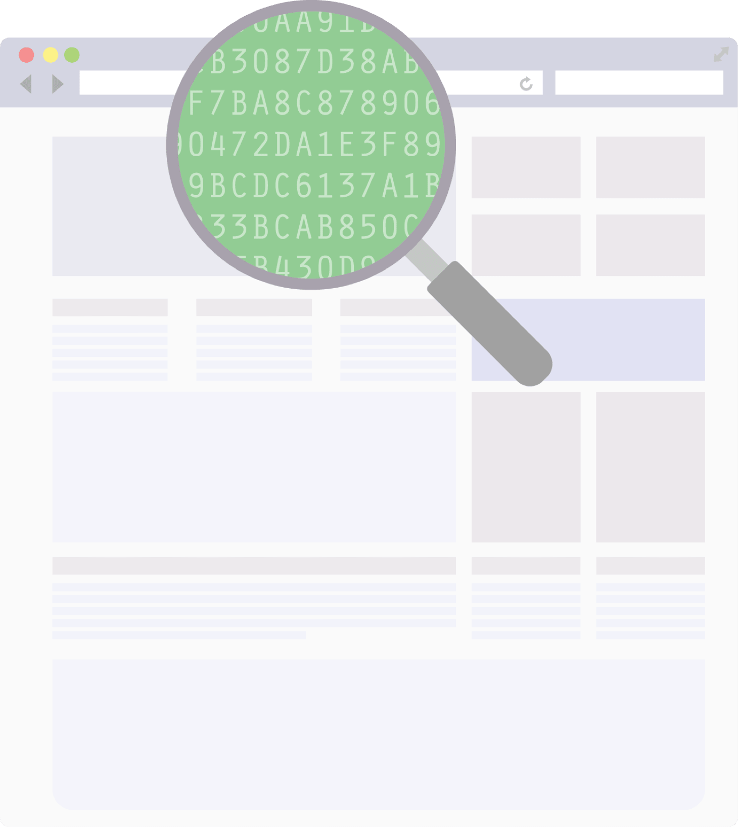 Express VNP下载官网